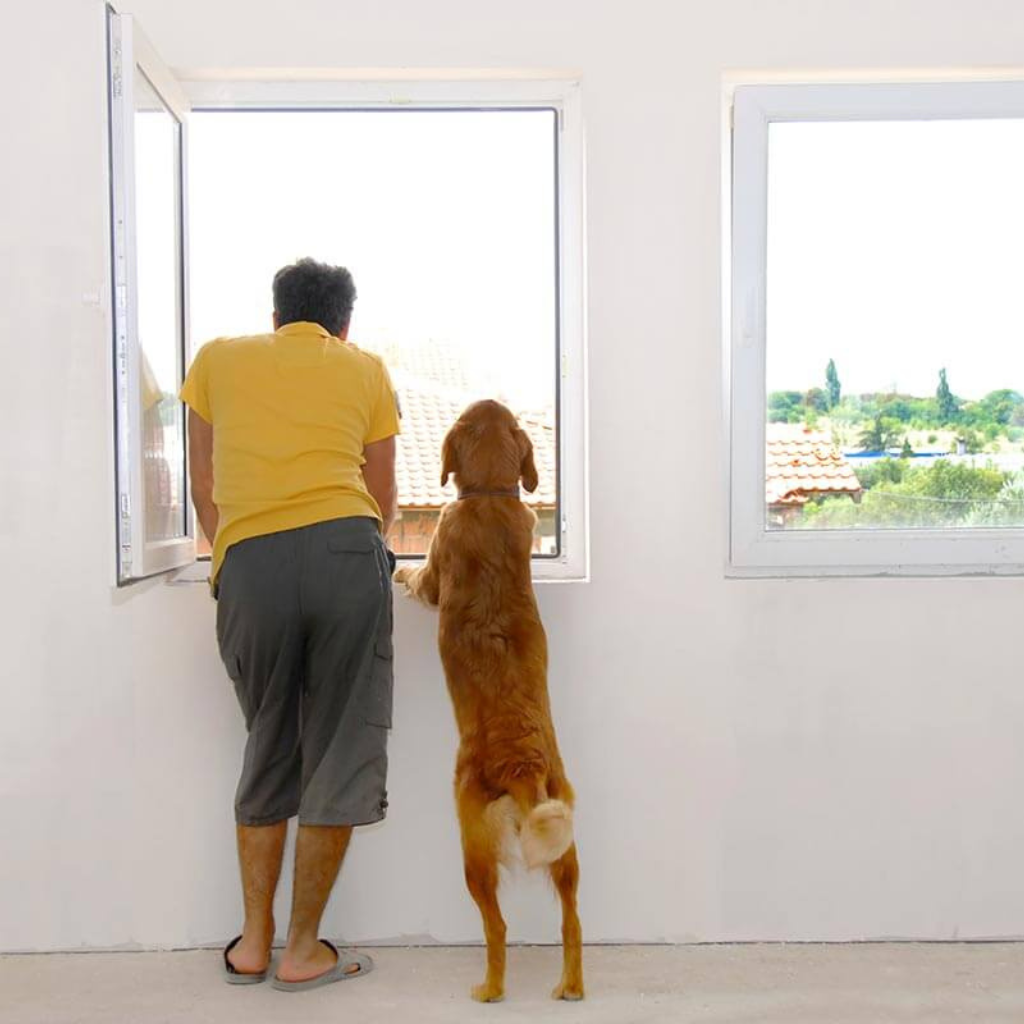 Home | Ross Glass - Victoria's Window Glass Pros